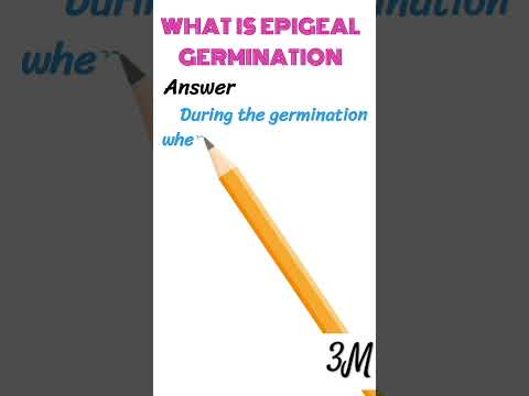 Definition of Epigeal Germination ? #definition #ytshorts