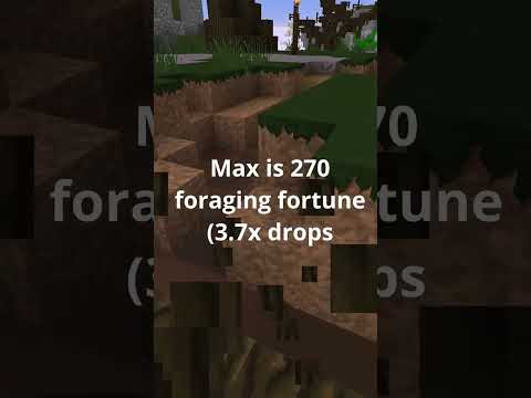 How much could you POSSIBLY MAKE from FORAGING? (Hypixel skyblock)