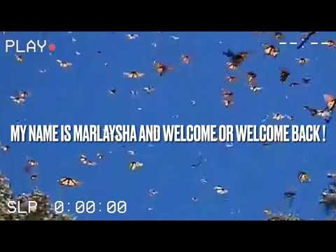 Free usernames For Fanpages on TikTok
