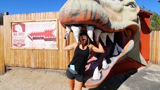 Dinosaurs in the desert