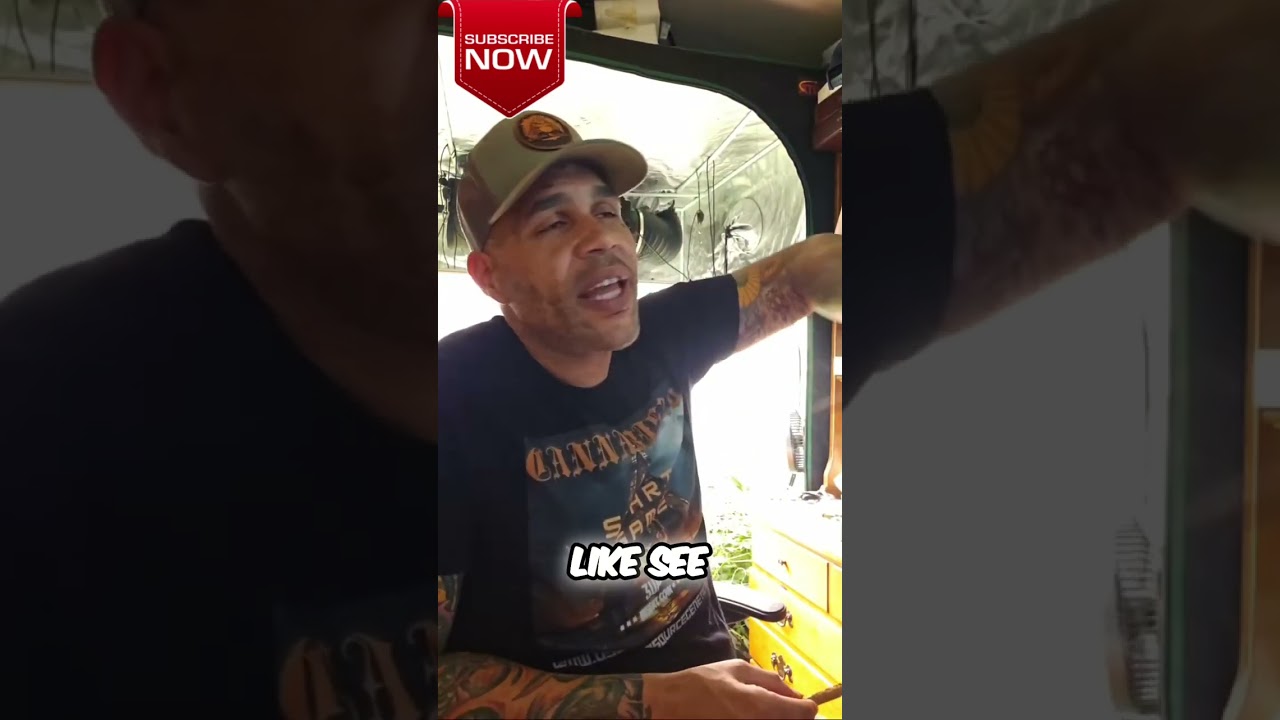 The Truth About Permanent Marker Strain: Unveiling the Mystery