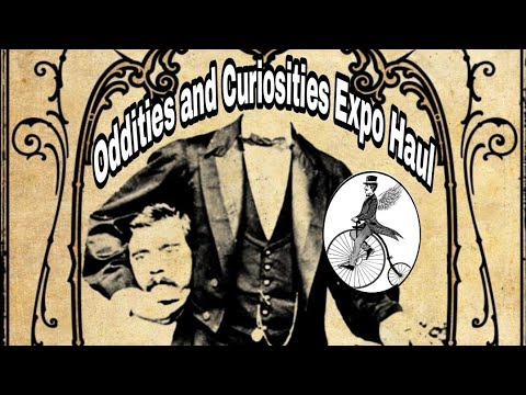 Oddities and Curiosities Expo Haul / What Did I Buy? #oddities #curiosities #haul