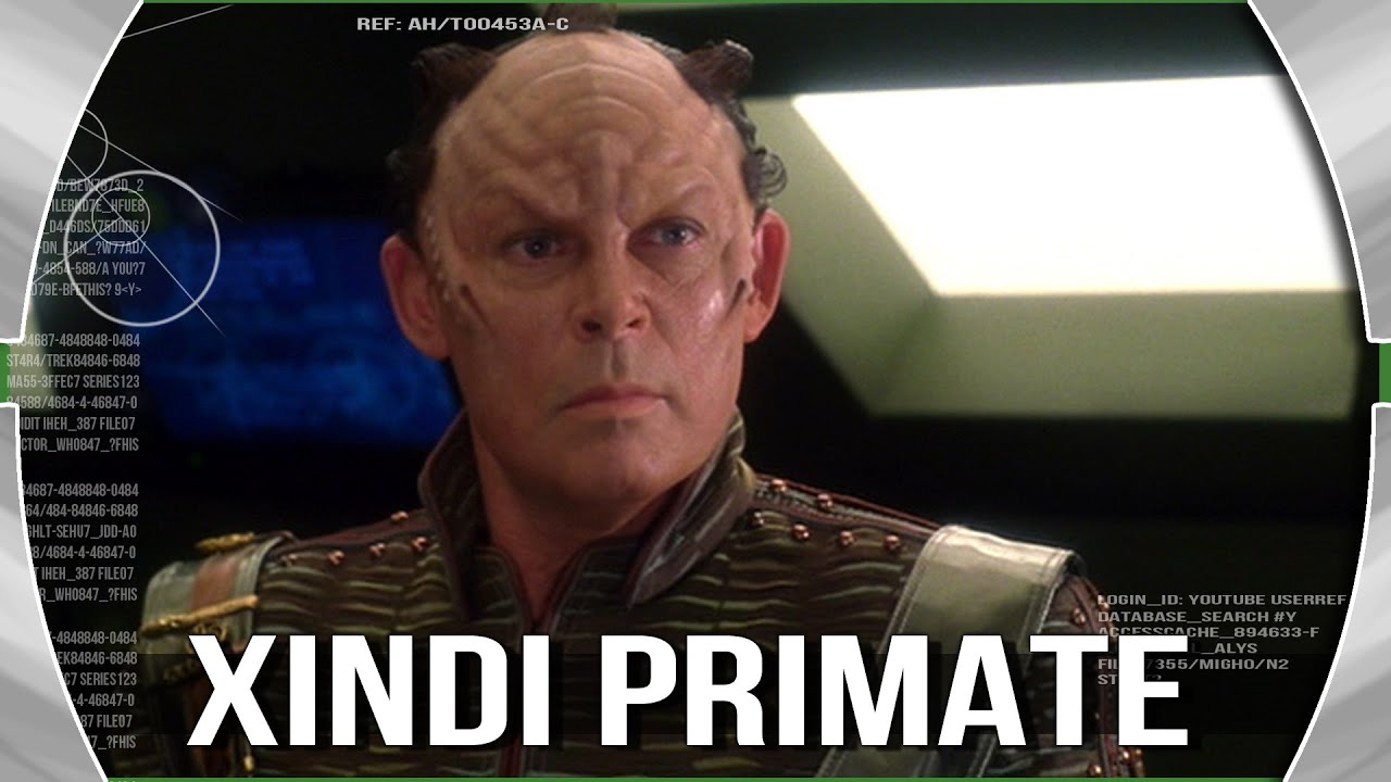 Xindi-Primate: Cultural Index