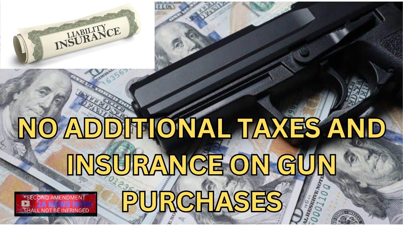 No Additional Taxes and Liability Insurance for Gun Purchases