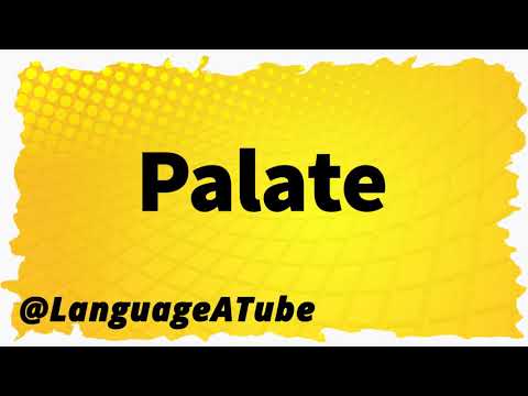 Palate Pronunciation ⚡️ How To Pronounce Palate!
