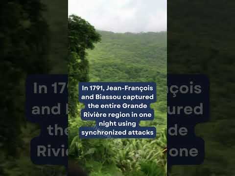 🎯 The Grande Rivière Victory – Mastermind Tactics That Changed the War 🎯
