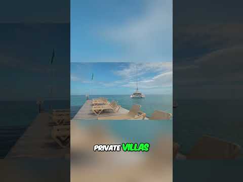 Experience VIP Luxury Airport Transfers in Jamaica