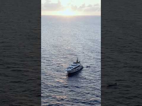 Whale Research Expedition Aboard Bering 92 | Explorer Yacht in Action