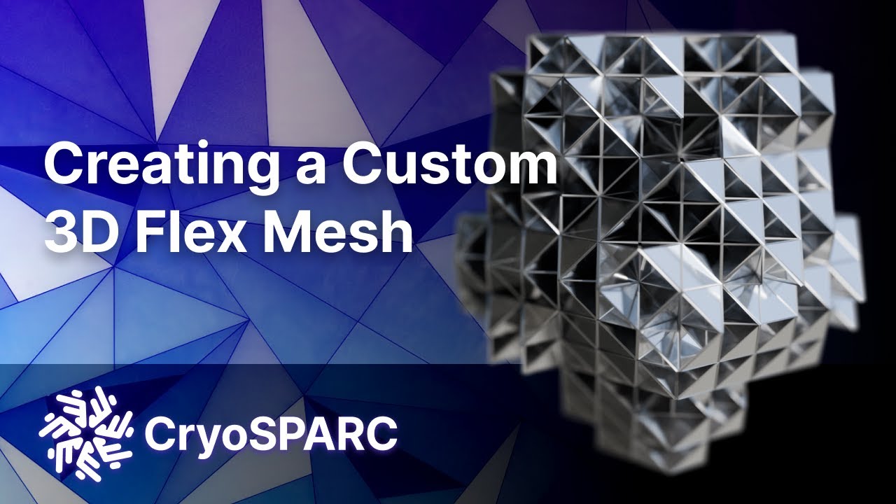CryoSPARC 3D Flex Custom Mesh Generation