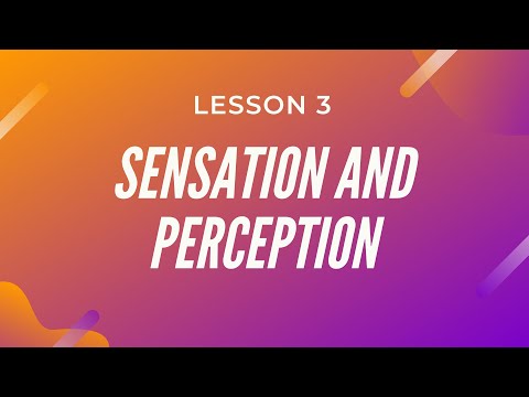 Sensing And Perceiving The World - Cognitive Psychology Lesson # 3