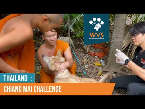Chiang Mai Vaccination Challenge