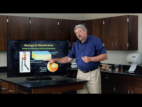 What is Cell Theory? - Dr. Kurt Wise, Devotional Biology