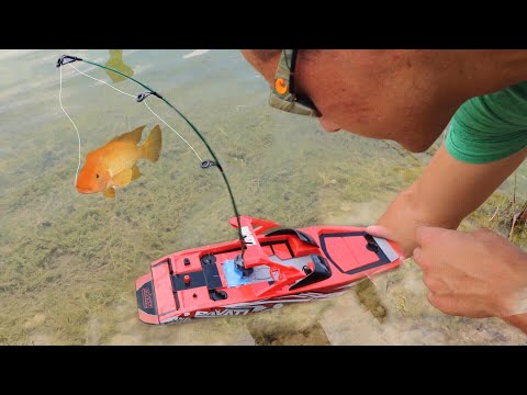 TOY Boat Catches Colorful FISH For Baby Jaws!!