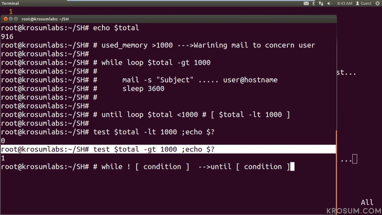 Shell Script Looping statement - Until loop