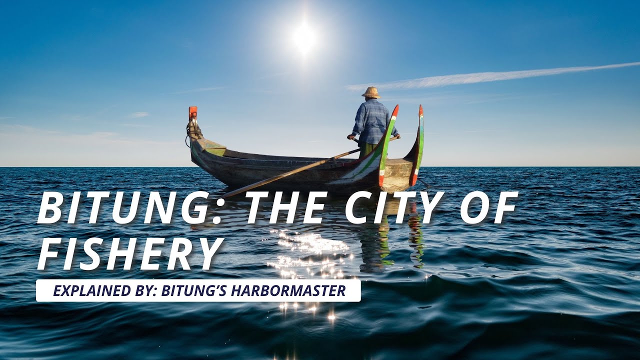 Bitung the City of Fishery