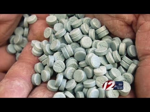 Facts About Molly | Who's Molly?