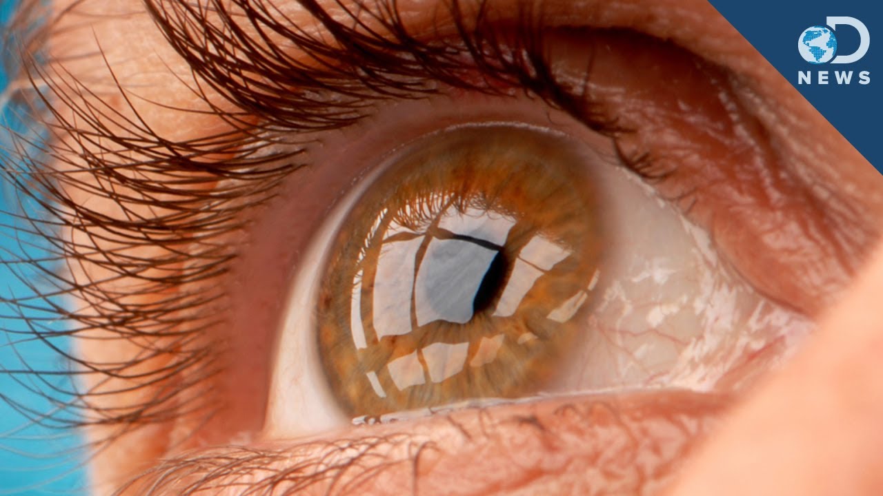 Stem Cell Treatment Cures Blindness