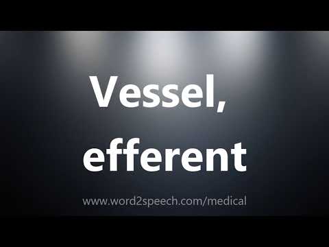 Vessel, efferent - Medical Meaning and Pronunciation