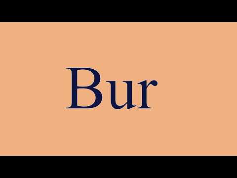 Bur - Meaning and How To Pronounce