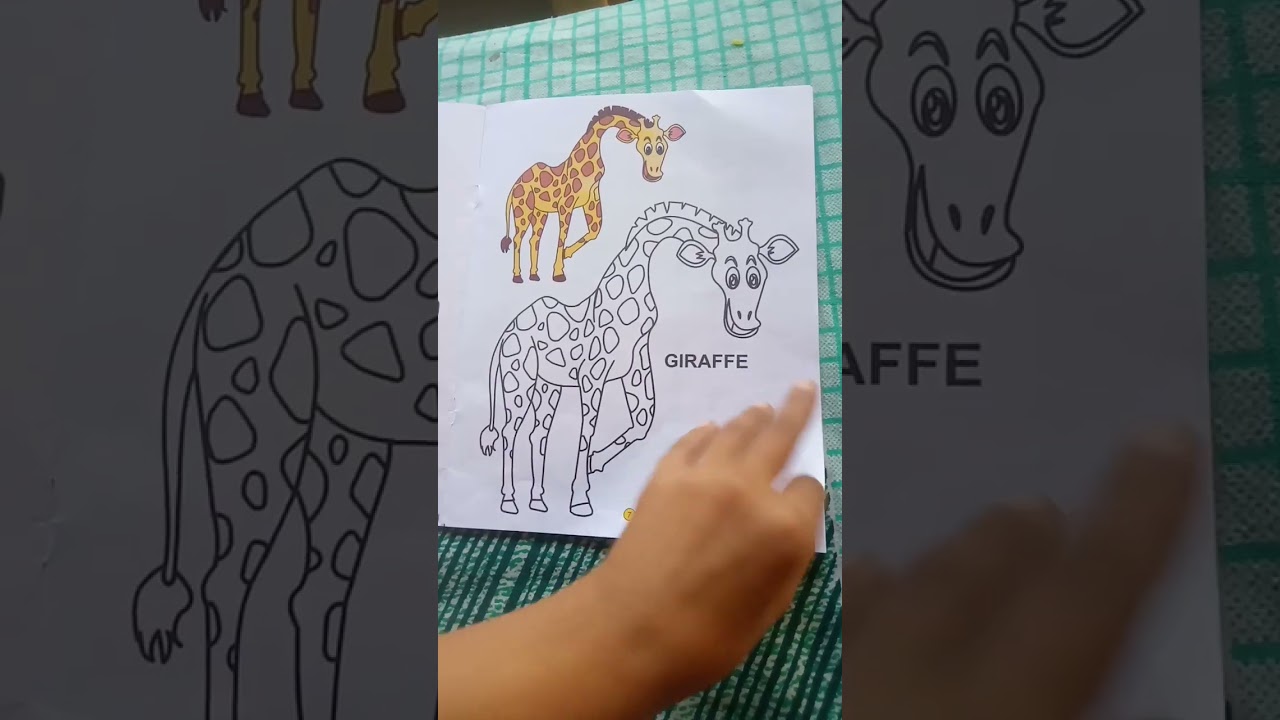 Colouring books 📚 of wild animals