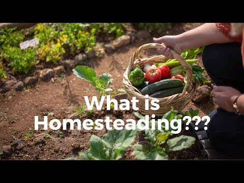 What's the difference between Farming and Homesteading? @TheShilohFarm