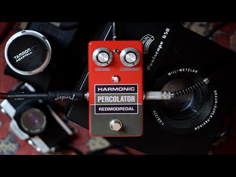 Steve Albini Germanium Percolator with DEMO, Shellac, Big | Reverb