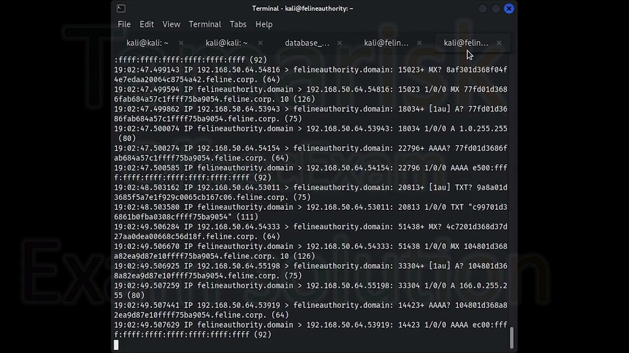 Dns tunneling with dnscat2