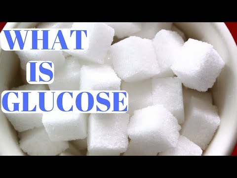 What Is Glucose And Why Is It Important – Quick And Easy Health Tips ...