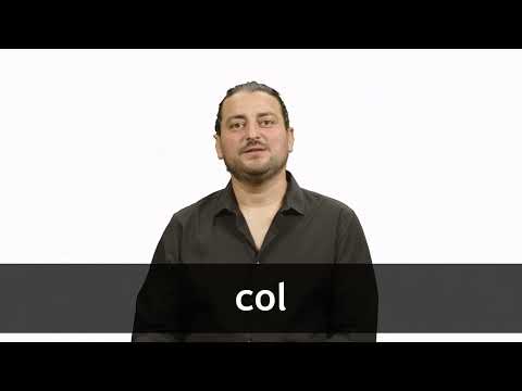 English Translation of “COL” | Collins French-English Dictionary