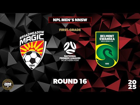 NPL Men's NNSW Round 16 First Grade - Broadmeadow Magic v Belmont Swansea United