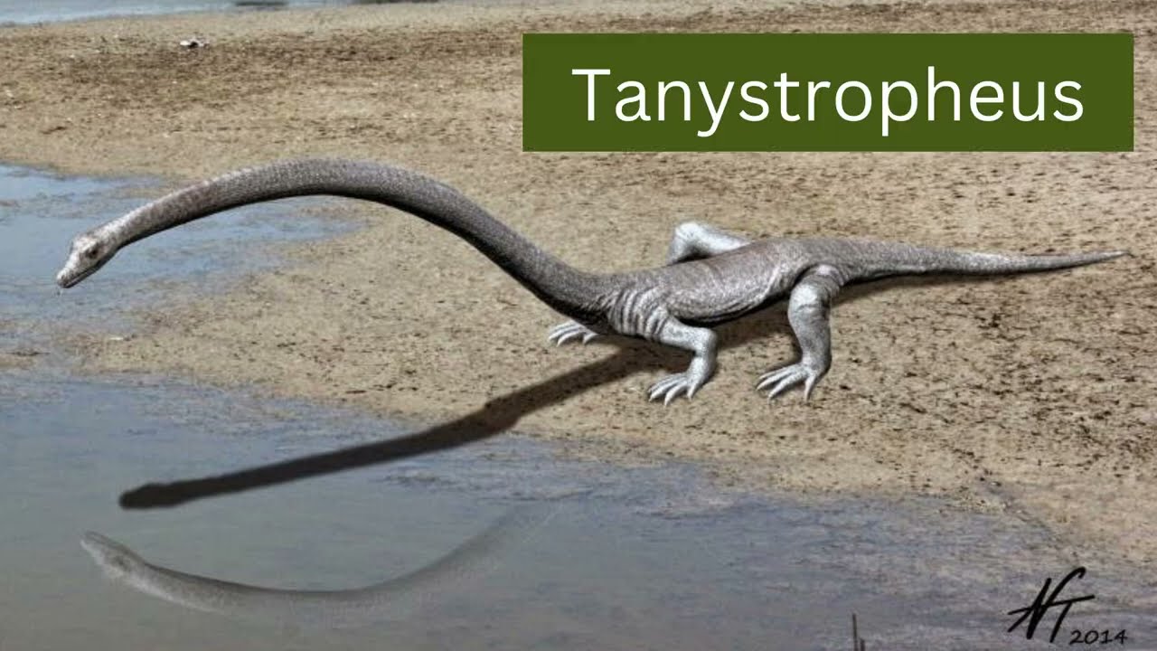 YOU ABSOLUTELY MUST KNOW THIS PREHISTORIC ANIMAL 😠 (Tanystropheus Facts)