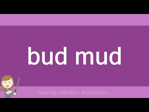 bud mud