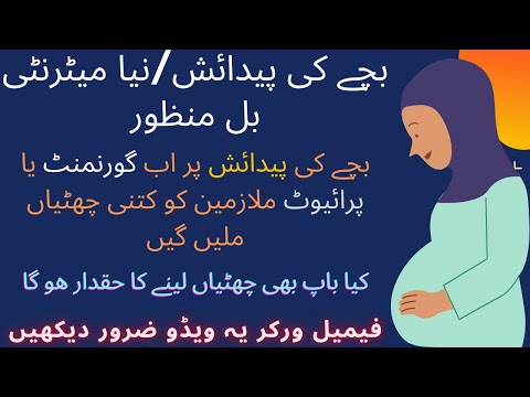 Latest Law on Maternity and Paternity Leaves For Government/Private Employees in Pakistan | Urdu |