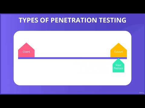 Types of Penetration Testing Explained | Black Box, White Box & Gray Box