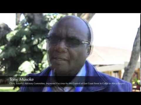 Tony Musoke: Improved Vaccines for the Control of East Coast Fever Inception Workshop
