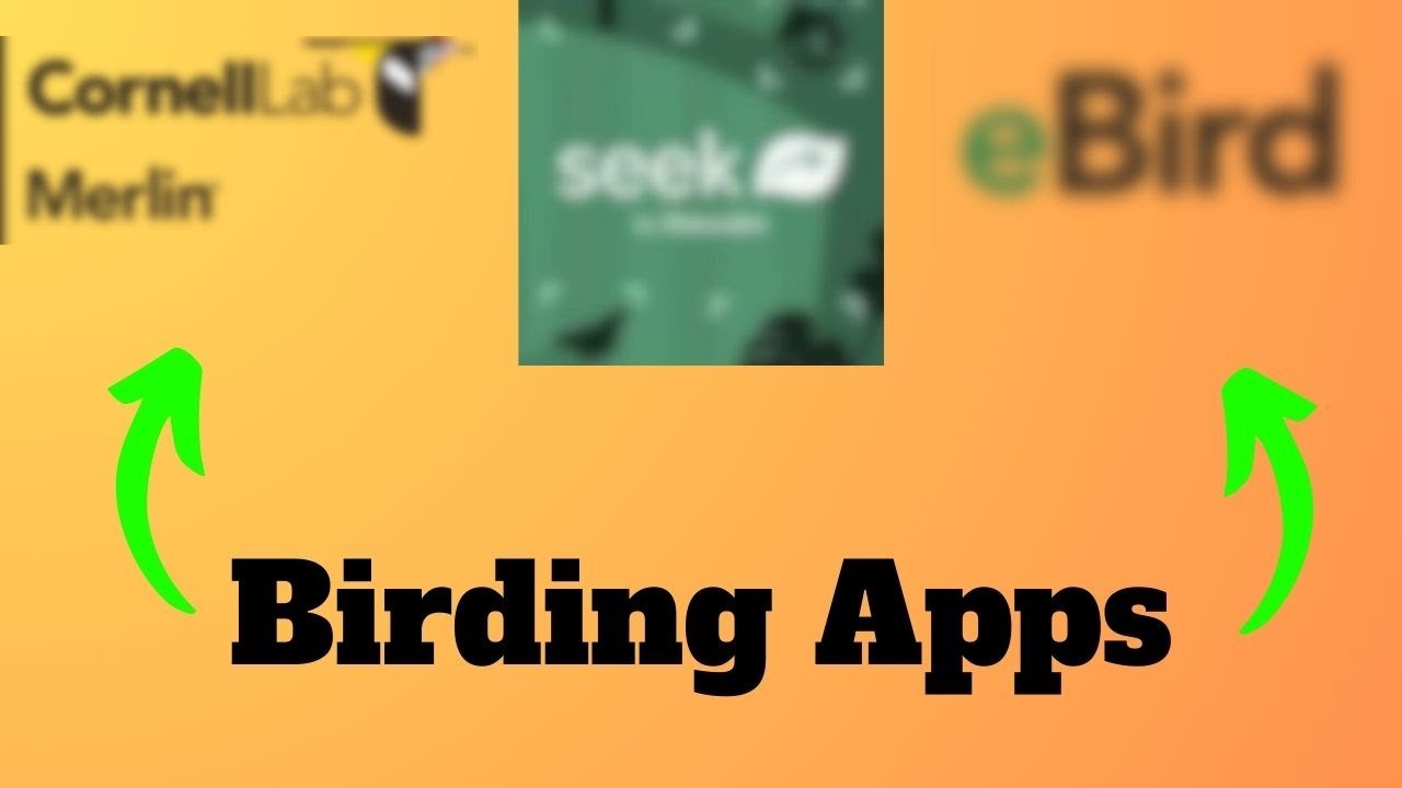 Must-Have Birding Apps for Serious Birders