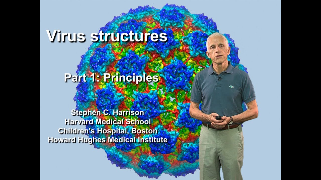 Stephen Harrison (Harvard) Part 1: Virus structures: General principles