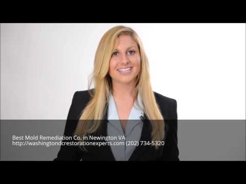 Mold Remediation Newington VA