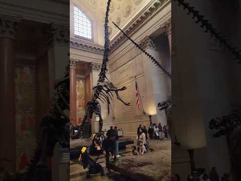 American Museum of Natural History in New York #nyc #museum