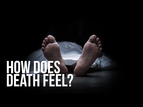 What Does Death Feel Like?