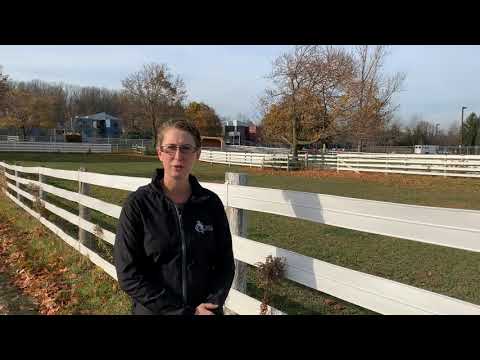 Meet Mikaela: Equine Management Alum