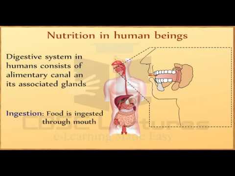 Class 10 Science Life Process Video Lecture