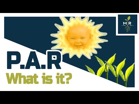 What is P.A.R?