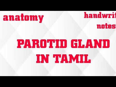 PAROTID GLAND IN TAMIL/INTRODUCTION/LOCATION/STRUCTURE PASSING THROUGH/HAND WRITTEN NOTES /ANATOMY