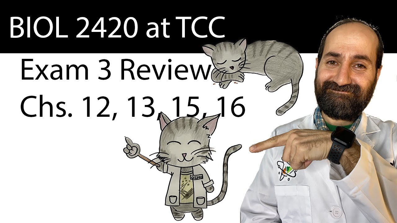 BIOL 2420 Exam 3 Review at TCC
