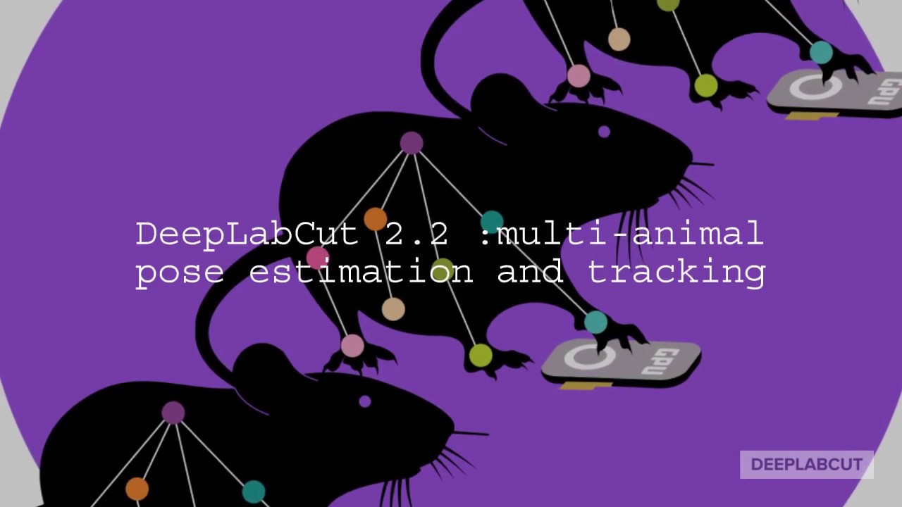 DeepLabCut 2.2 / maDeepLabCut multi-animal support