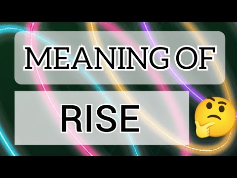 Meaning Of Rise ? Meaning Of Rise || What is rise In Hindi || rise in hindi