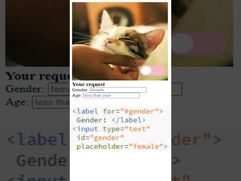 CSS placeholder