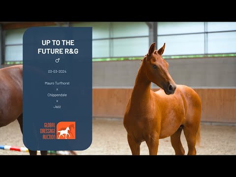 Up To The Future R&G
