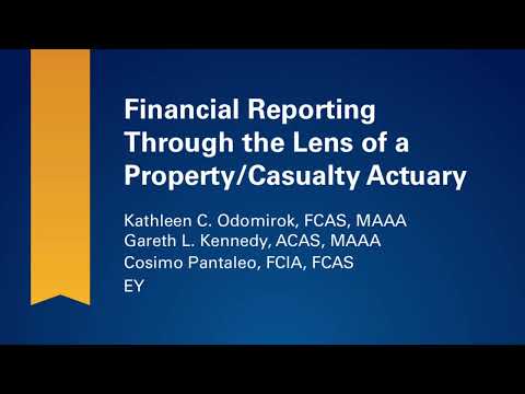 Odomirok 17 - Actuarial Opinion Summary Supplement
